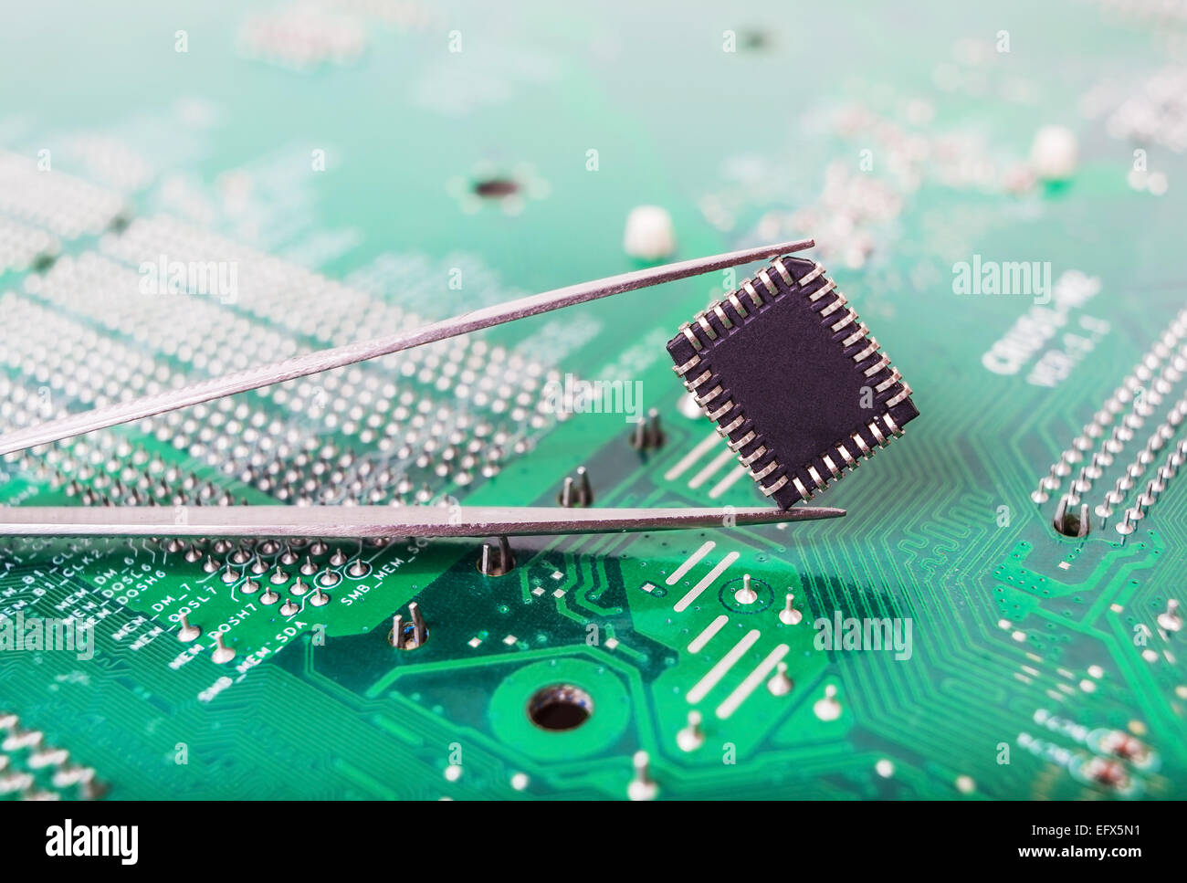 microchip in the tweezers closeup on the background of the motherboard ...