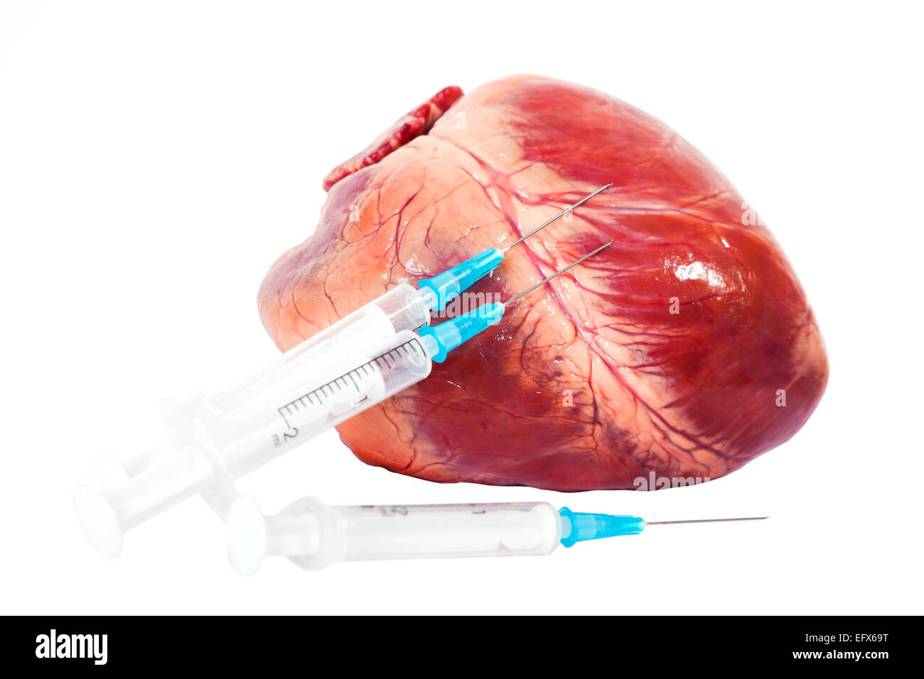 Human heart organ real hi-res stock photography and images - Alamy