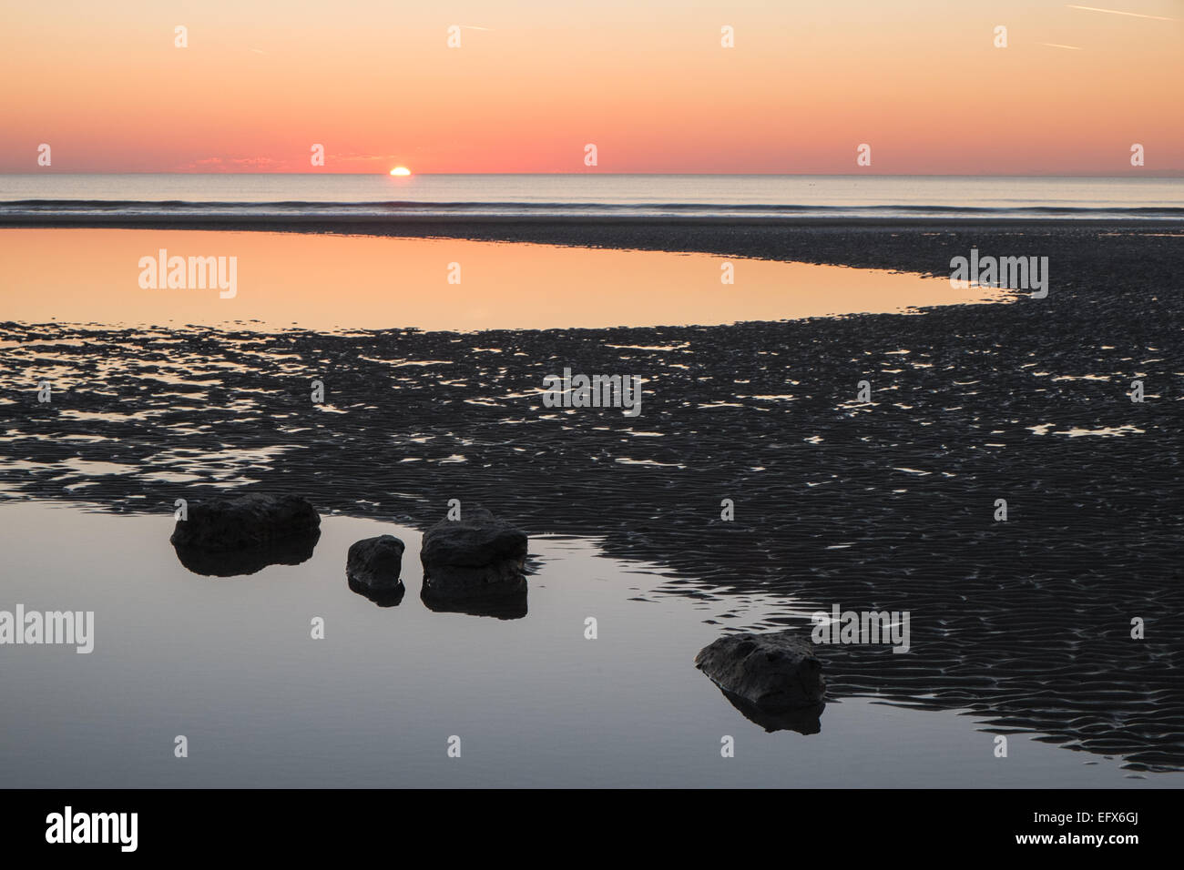 At sunset, Petrified,prehistoric,oak,forest,tree,trees, Ynyslas Beach ...