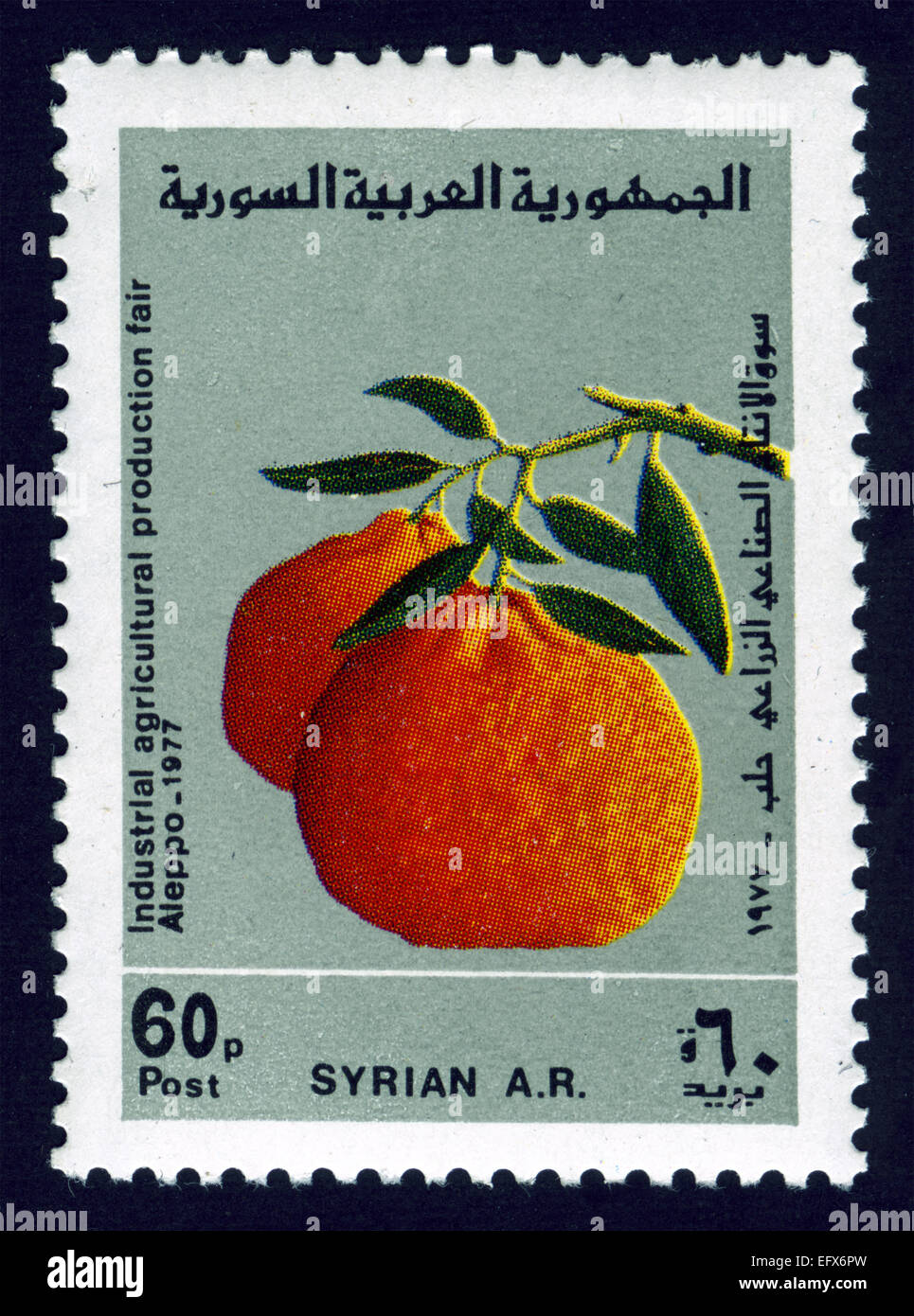Flora of syria hi-res stock photography and images - Alamy