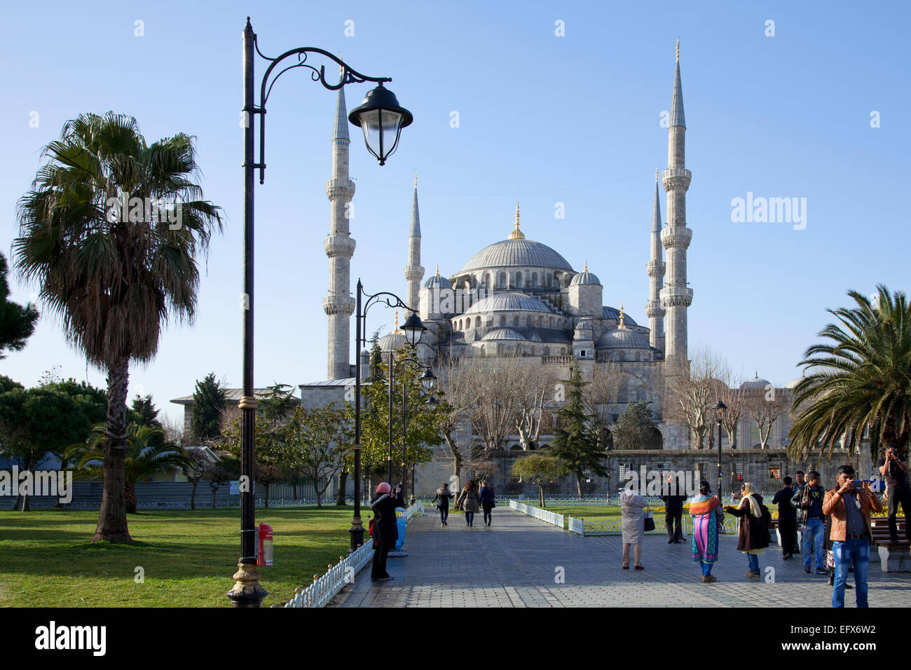Blue Mosque with lamp and palm trees, from gardens, Sultanahmet ...