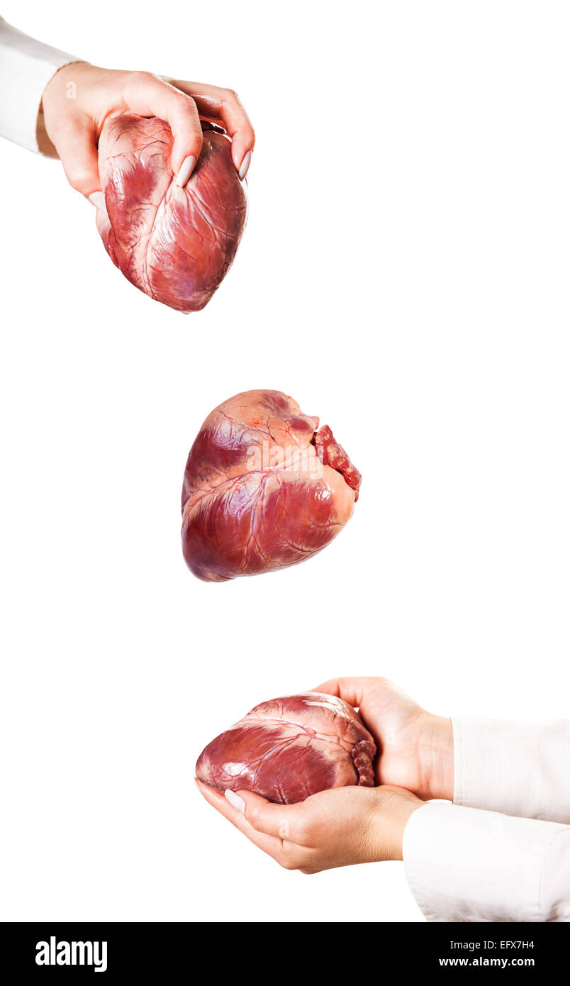 way of the heart, isolated white background Stock Photo - Alamy