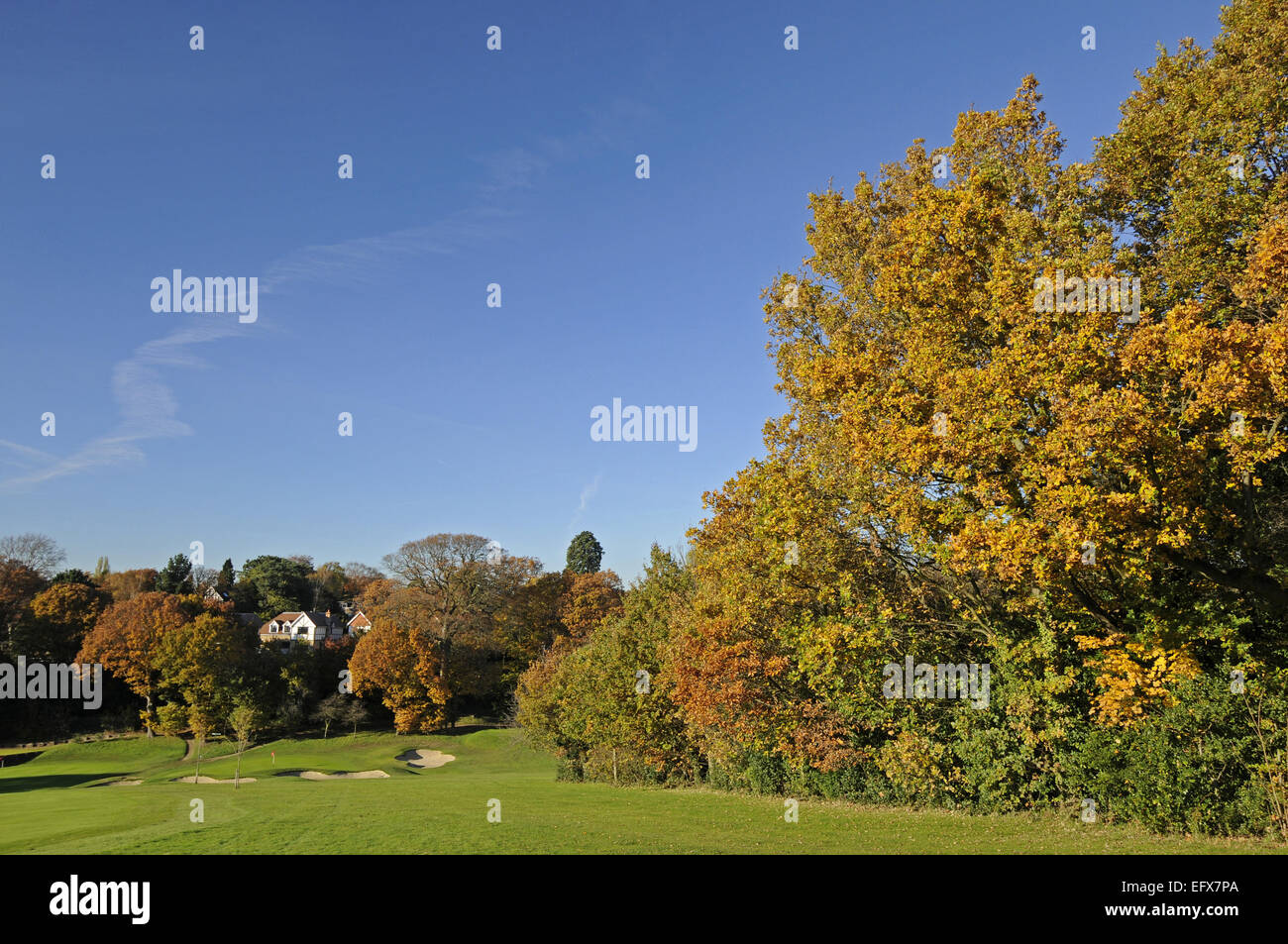 View in the Autumn down the Fairway on the 6th Hole to the green ...