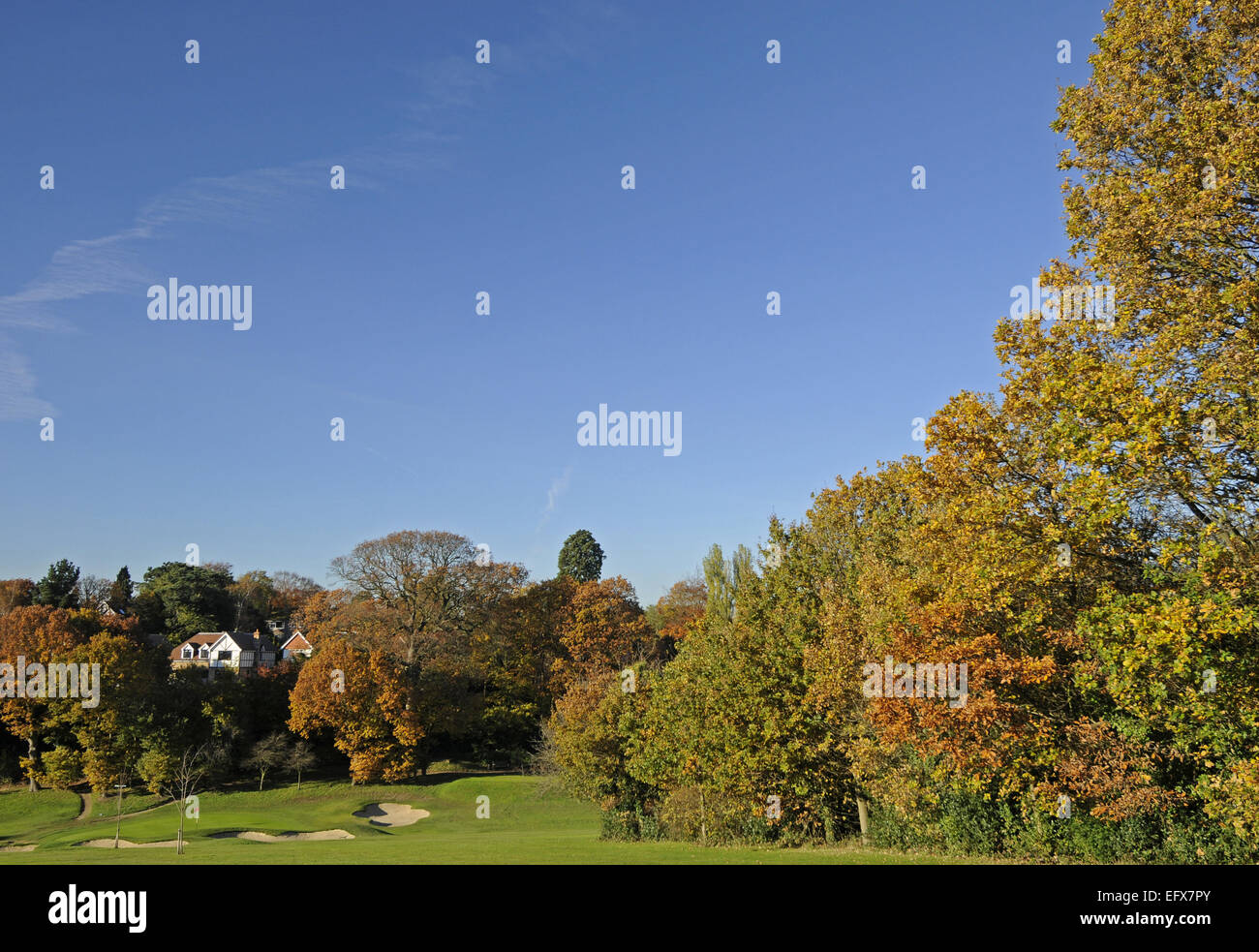 View in the Autumn down the Fairway on the 6th Hole to the green ...