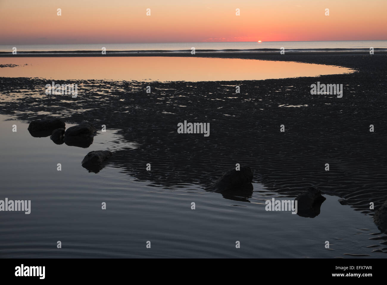 Sunset at Petrified,prehistoric,oak,forest,tree,trees, Ynyslas Beach ...