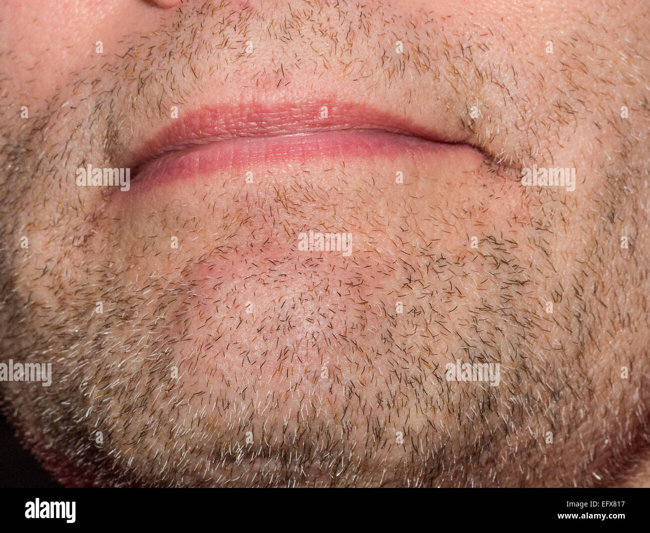 Stubbled hi-res stock photography and images - Alamy