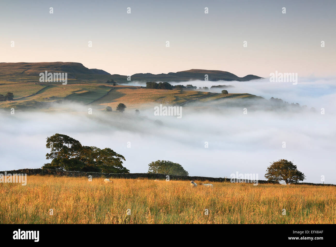 A misty morning above Stainforth in the Yorkshire Dales, with a view in ...