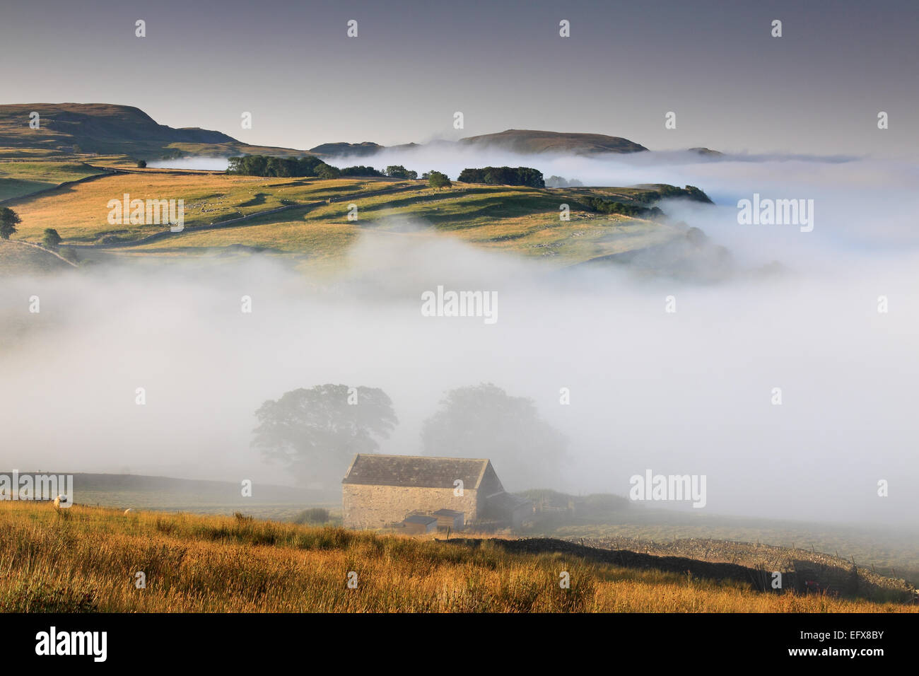 A misty morning above Stainforth in the Yorkshire Dales, with a view in ...