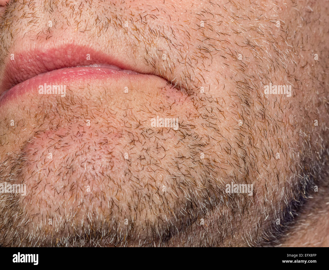 Chin Only Beard
