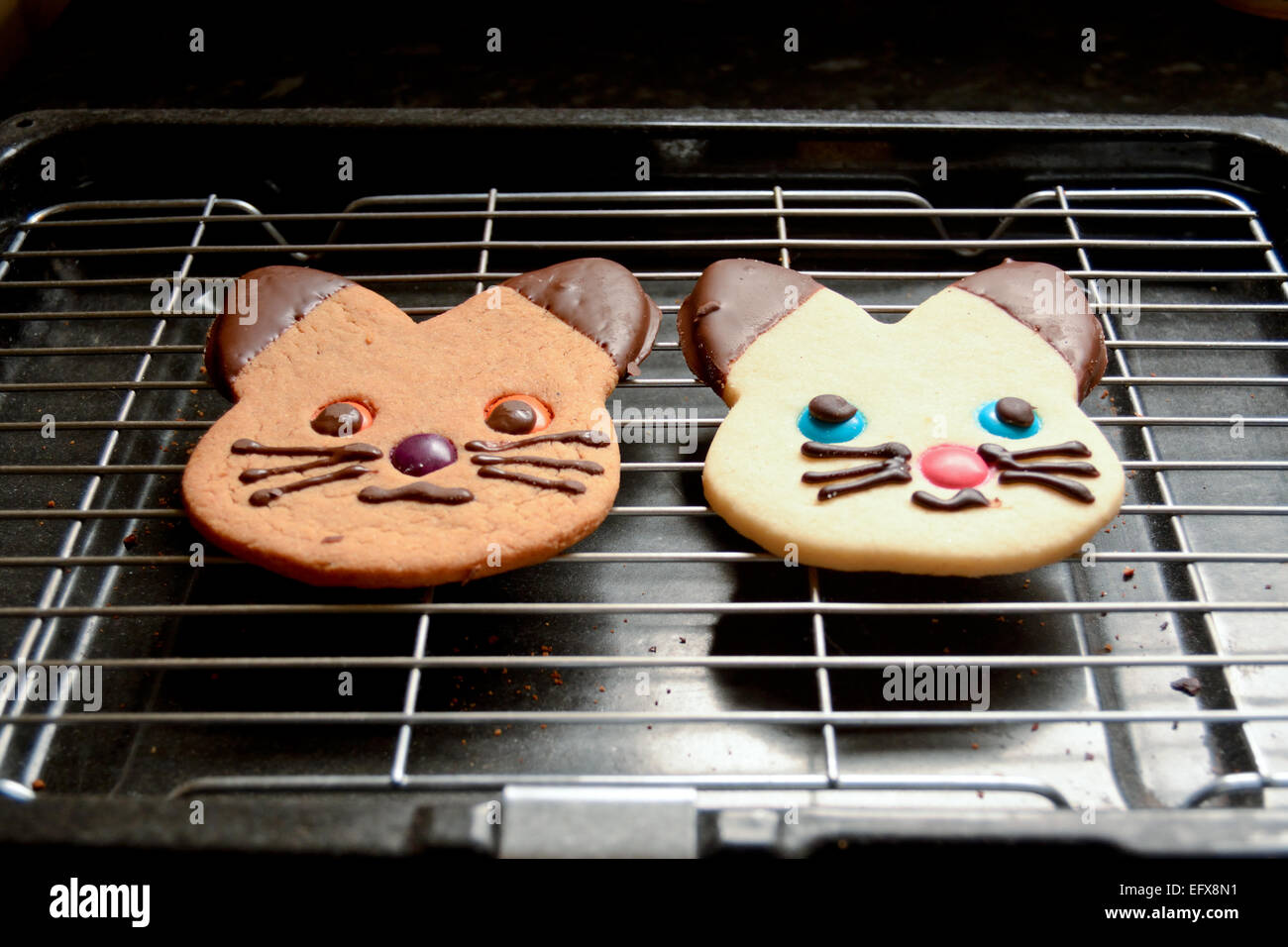 Ginger bread and shortbread cat biscuits on wire rack Stock Photo - Alamy