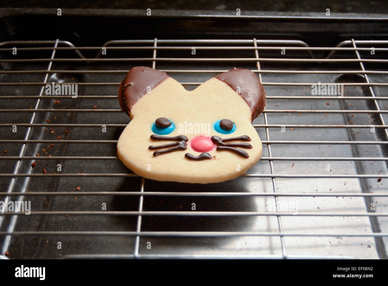 Shortbread cat biscuit on wire rack Stock Photo - Alamy