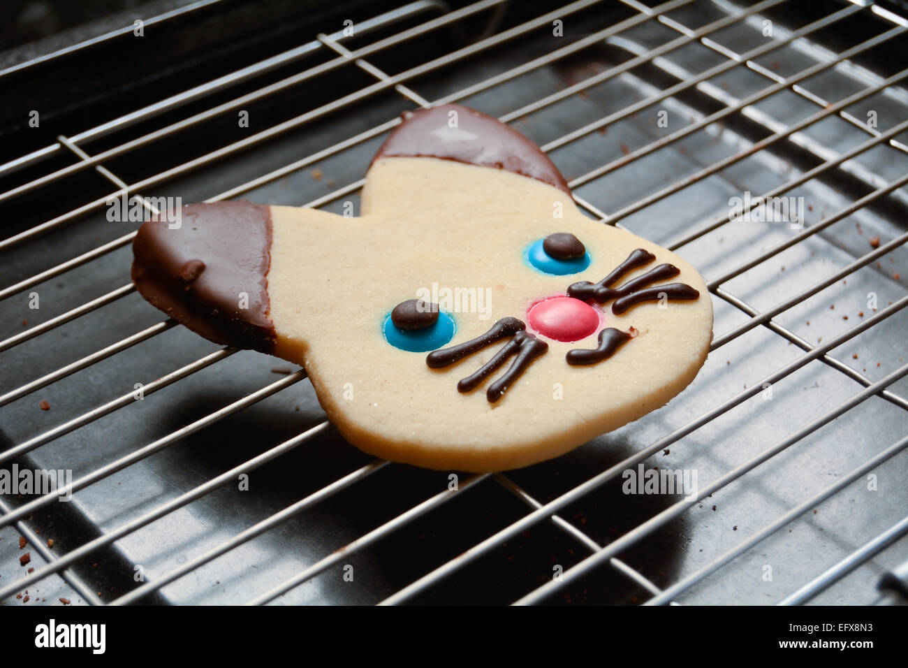 Shortbread cat biscuit on wire rack Stock Photo - Alamy