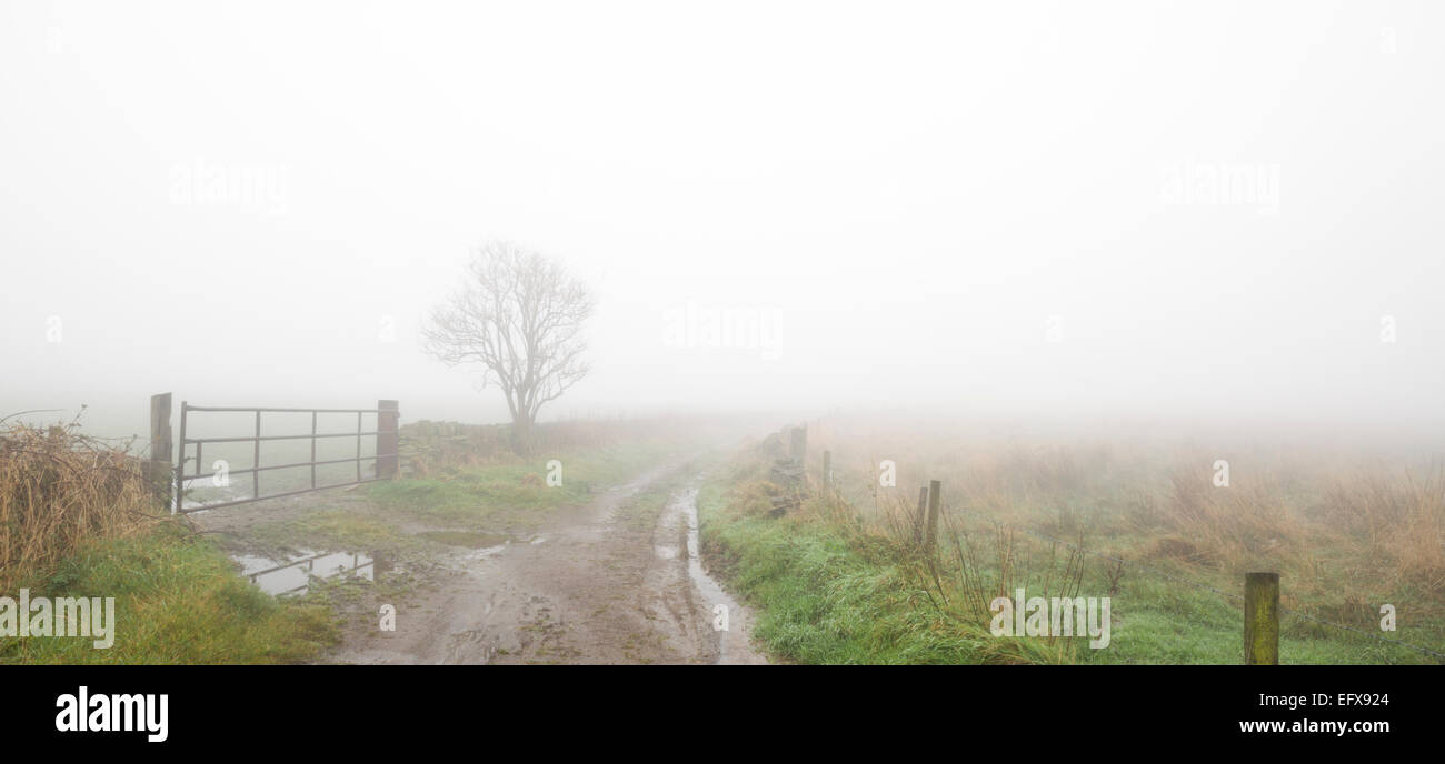 Thick fog on a country lane Stock Photo - Alamy