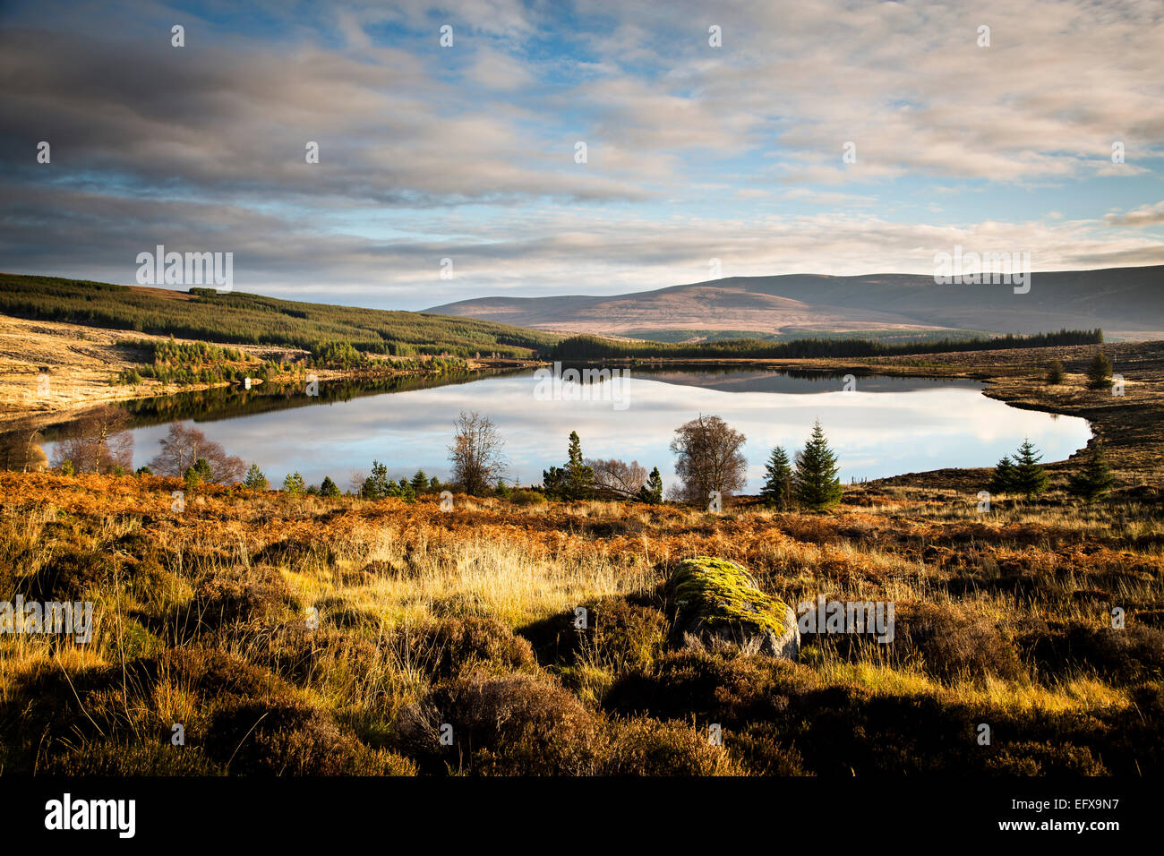 Loch Bad á Bhathaich, Kildermorie Estate near Alness, Scotland Stock ...