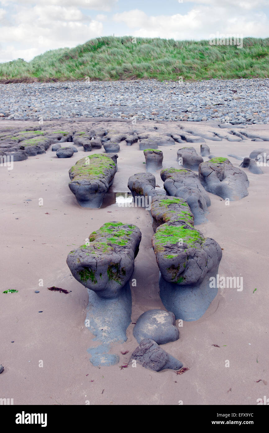 unusual mud banks at Beal beach in county Kerry Ireland on the wild ...