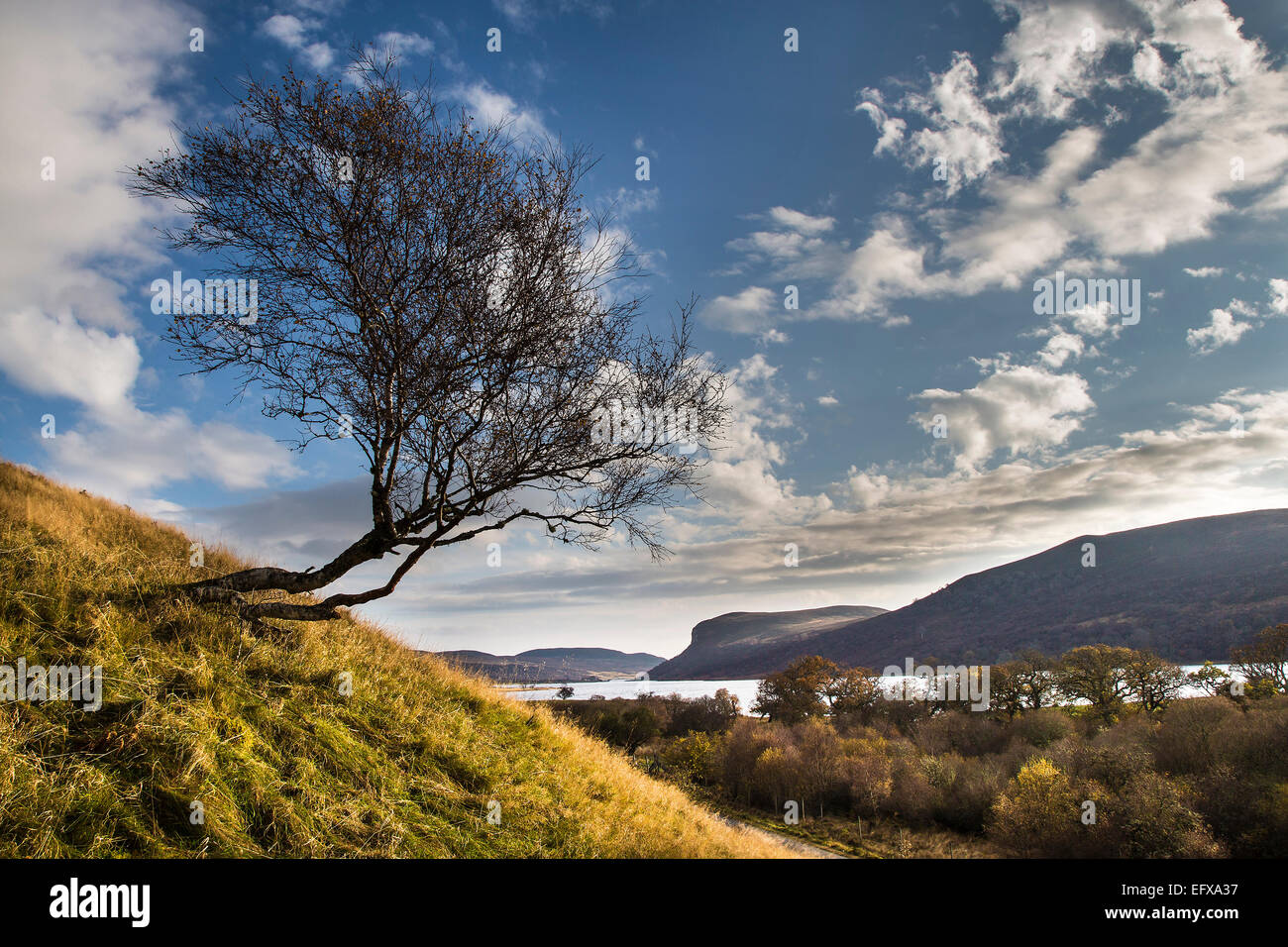 Brora Strath High Resolution Stock Photography and Images - Alamy
