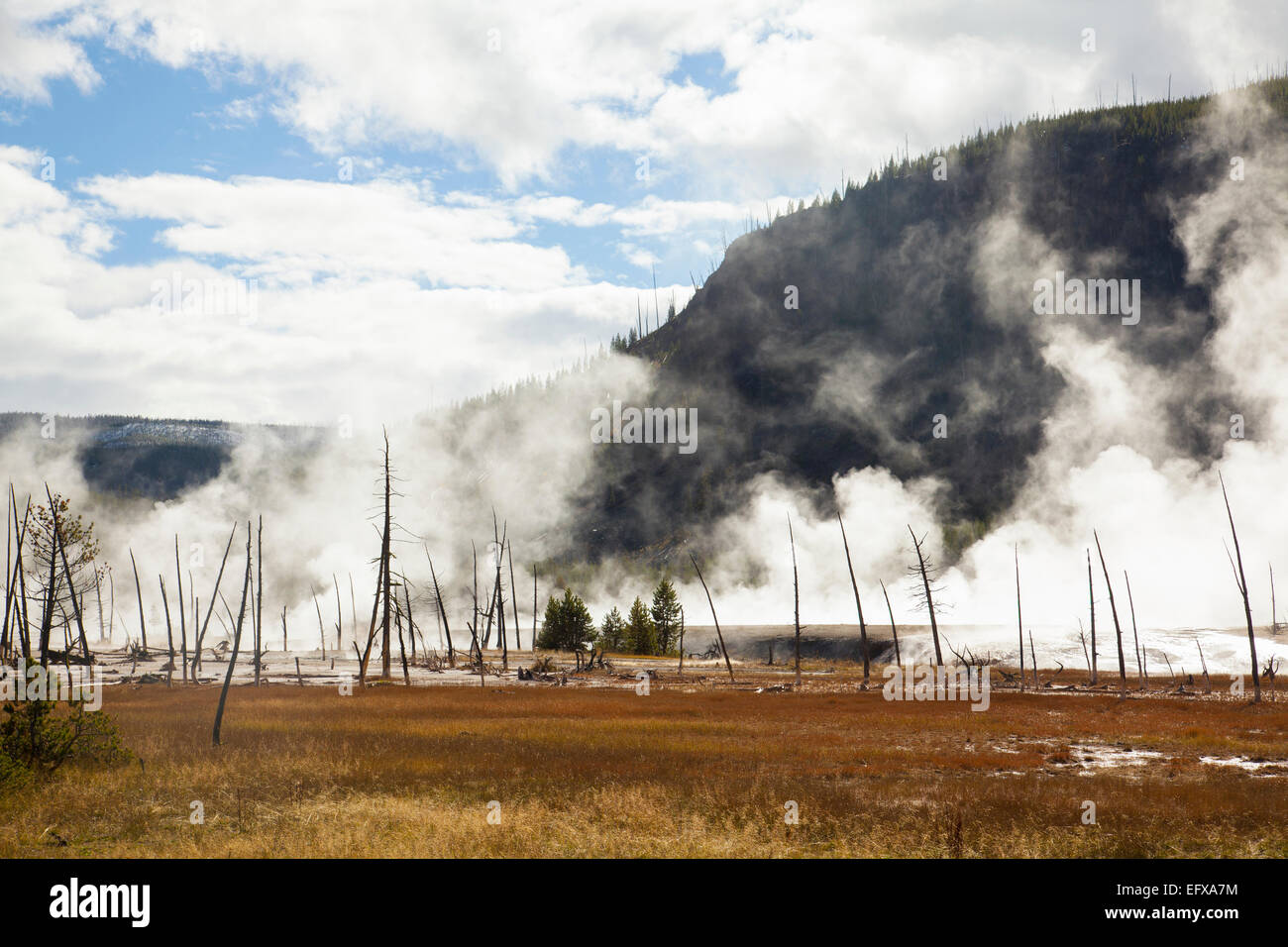 Scene from yellowstone national hi-res stock photography and images - Alamy