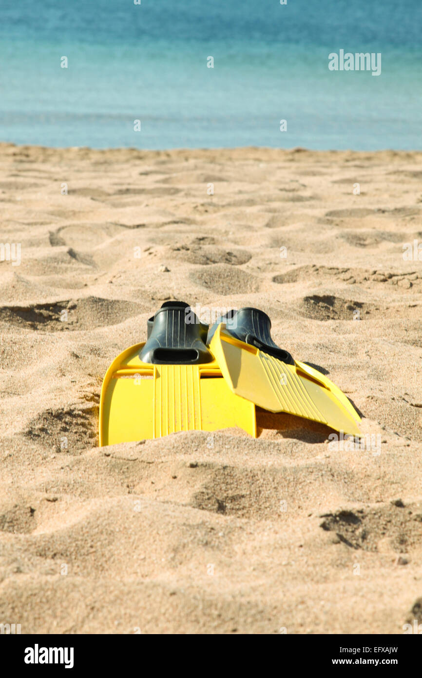 Pair of flippers on sandy beach Stock Photo - Alamy