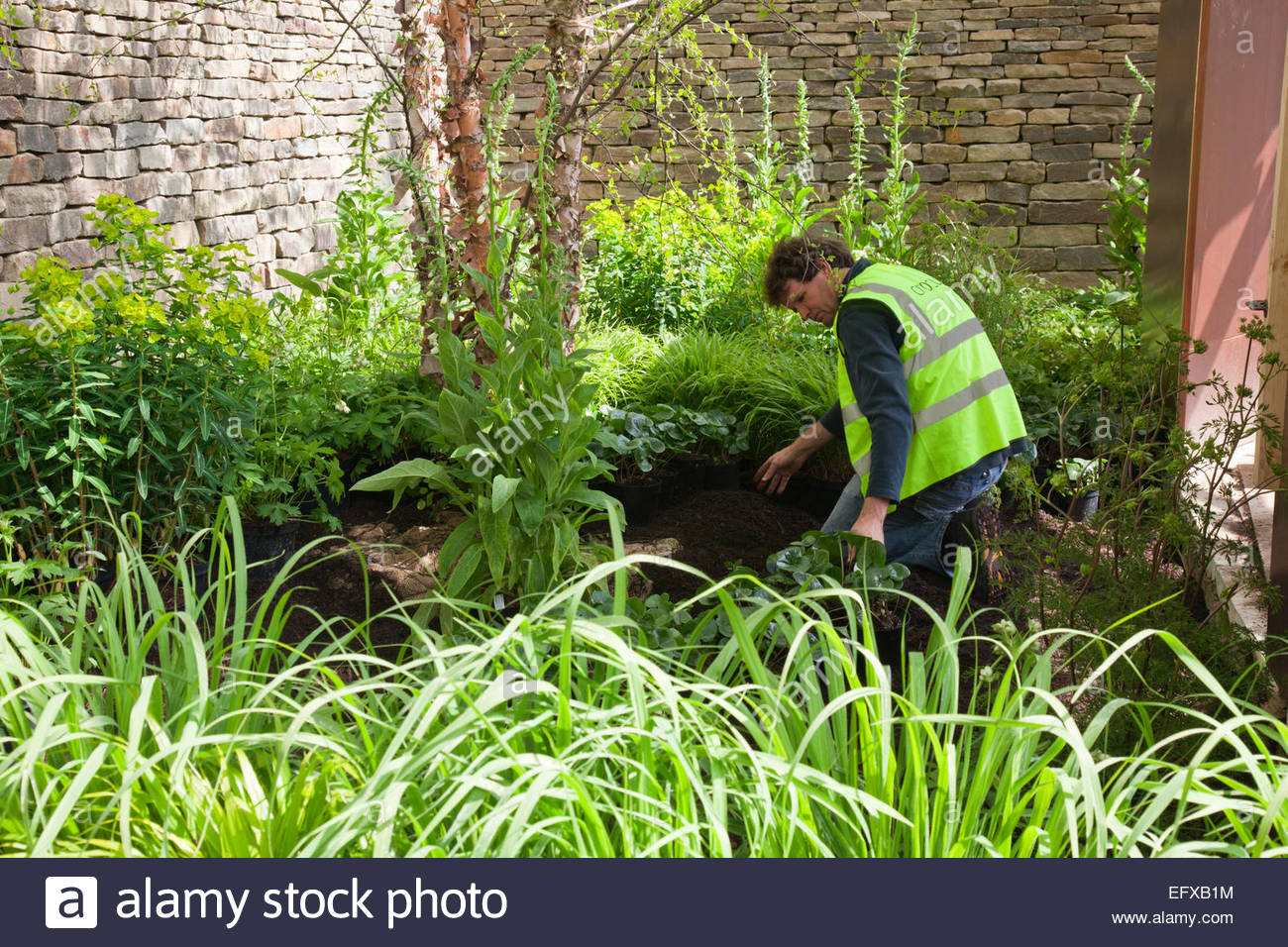 Tom Stuart Smith Stock Photos & Tom Stuart Smith Stock Images - Alamy