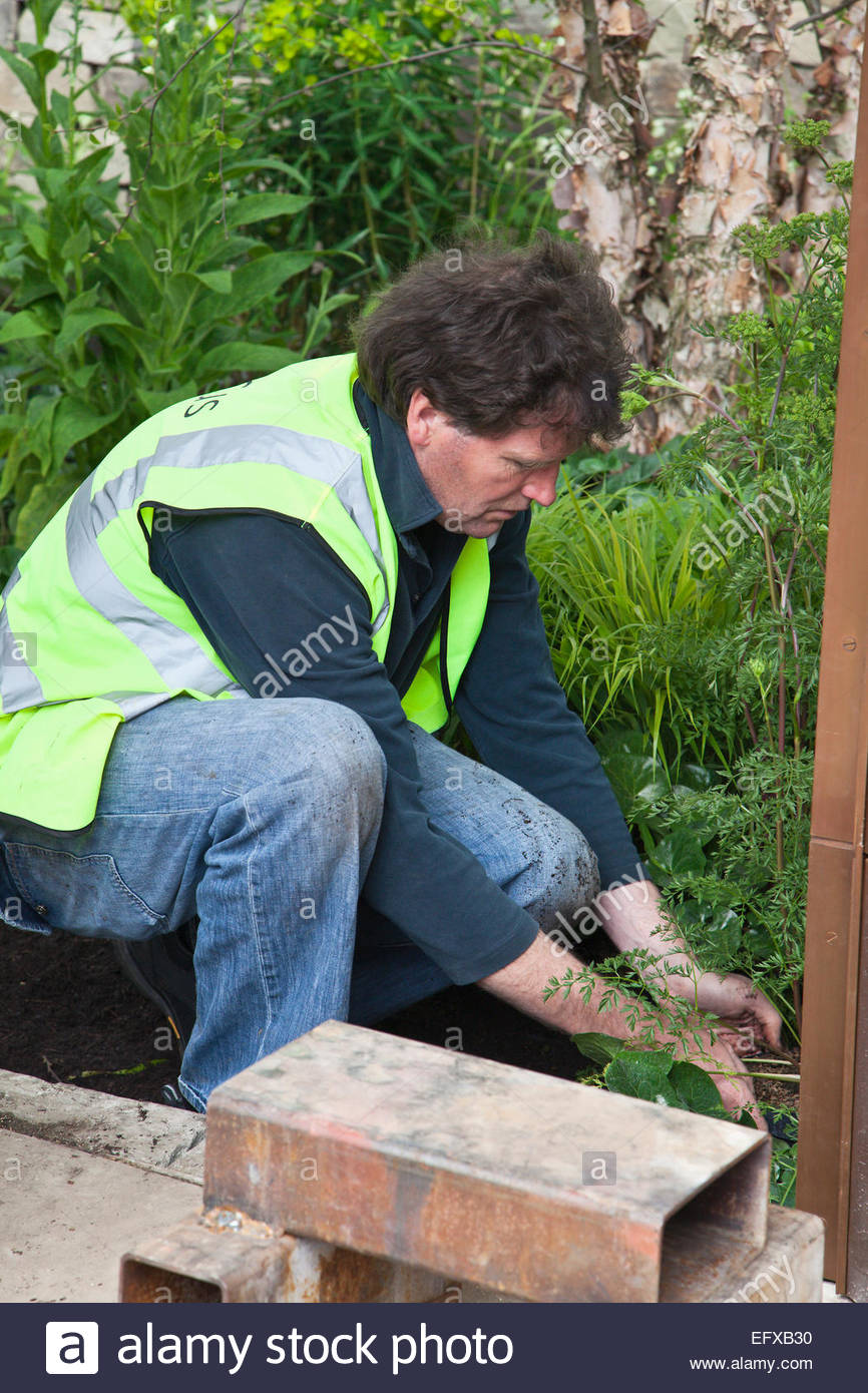 Tom Stuart Smith Stock Photos & Tom Stuart Smith Stock Images - Alamy