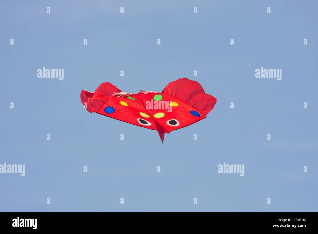 Spotted fish hi-res stock photography and images - Alamy