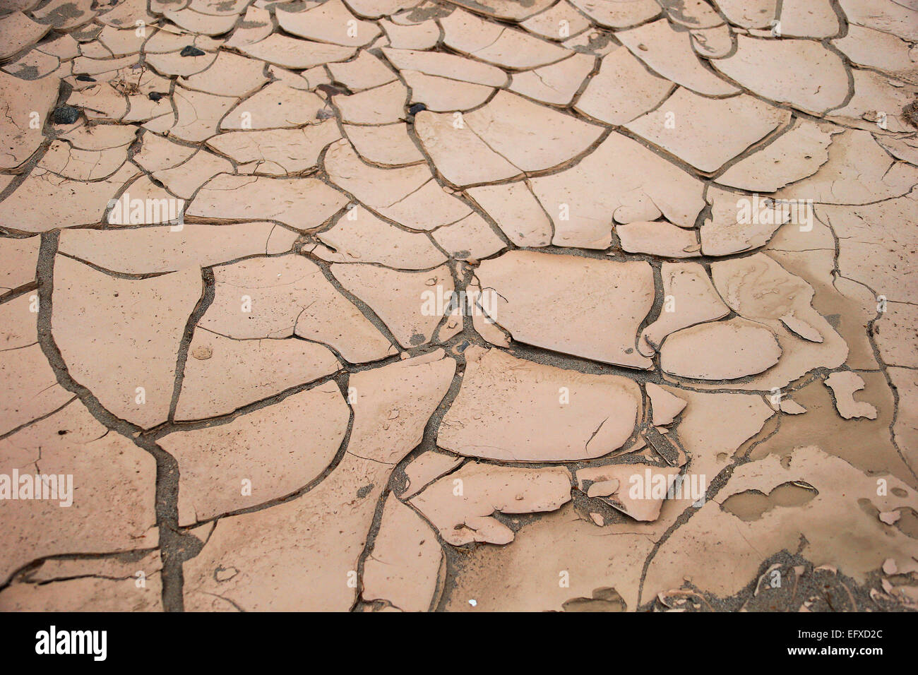 Soil death hi-res stock photography and images - Alamy