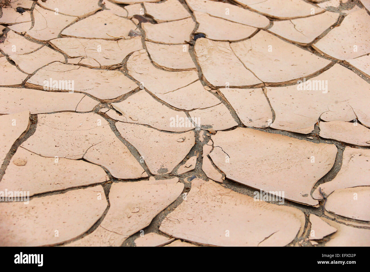 Soil death hi-res stock photography and images - Alamy