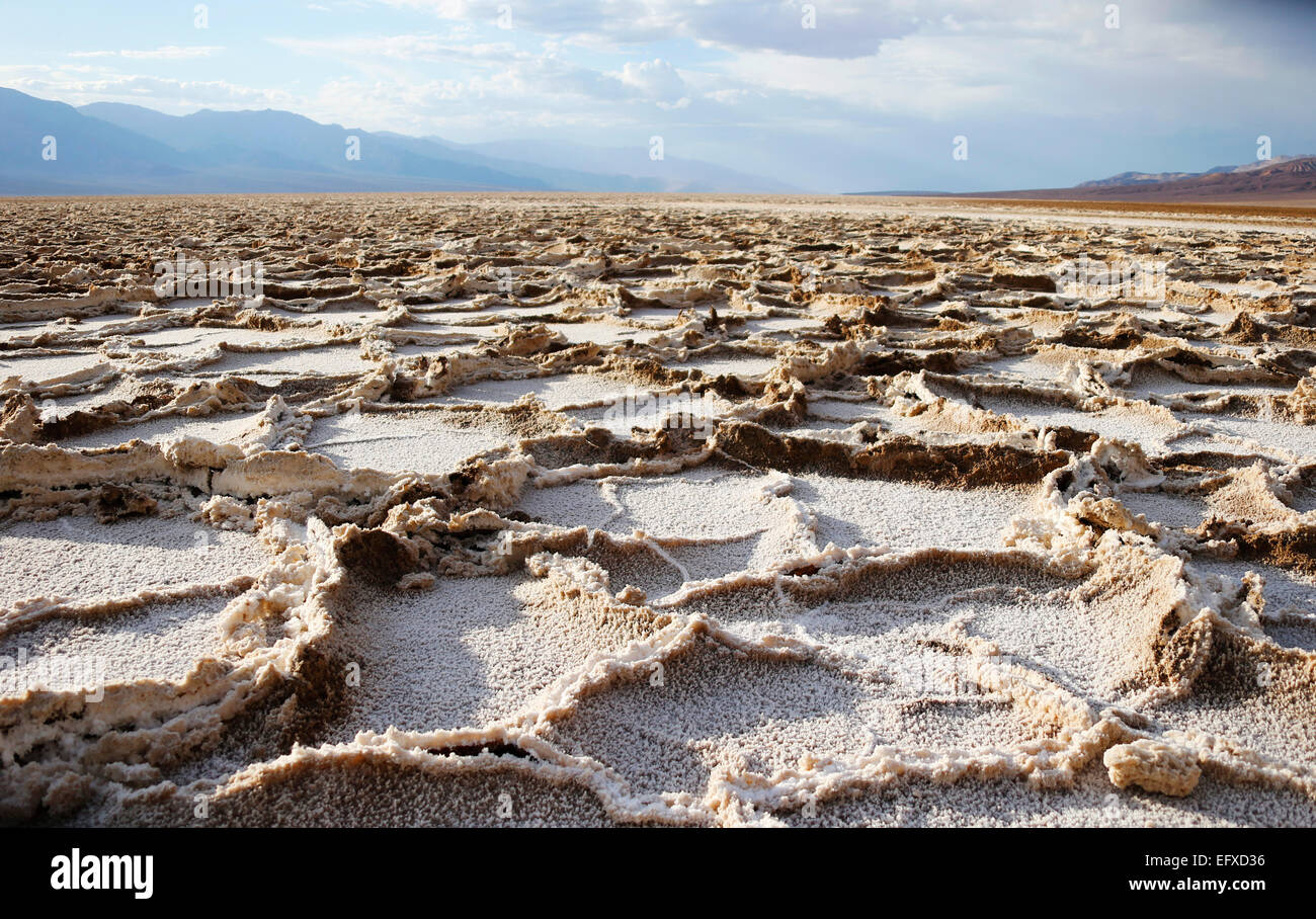 Cracked salt crust hi-res stock photography and images - Alamy