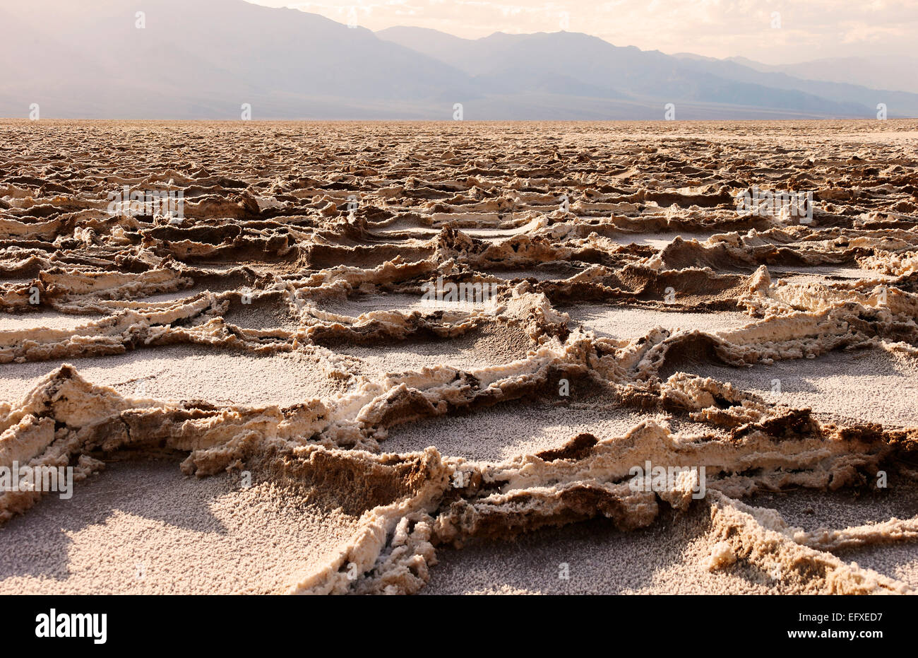 Salt Crusts, Badwater Basin, Death Valley, California, USA Stock Photo ...