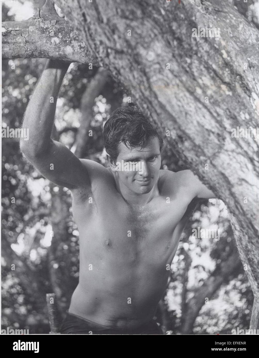 With ron ely hi-res stock photography and images - Alamy