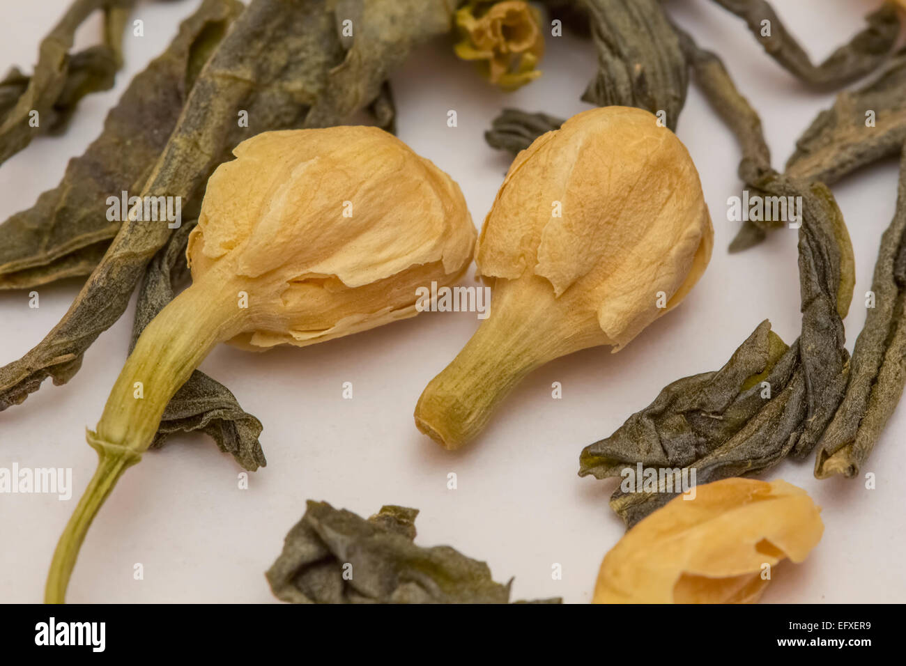 Chinese jasmine plant hi-res stock photography and images - Alamy