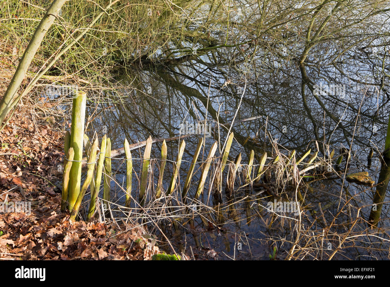 Old fence at lake edge disappearing into water Stock Photo - Alamy