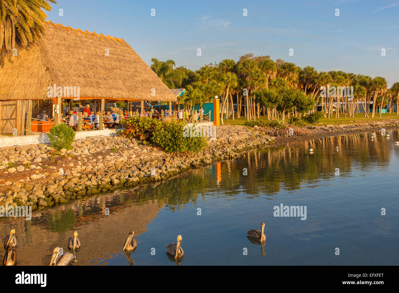 Pelicans in water in front of Stump Pass Grill and Tiki Bar on Lemon ...