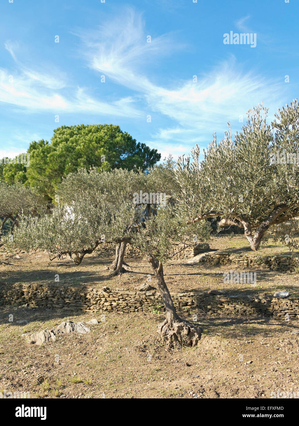 National park in cadaques hi-res stock photography and images - Alamy