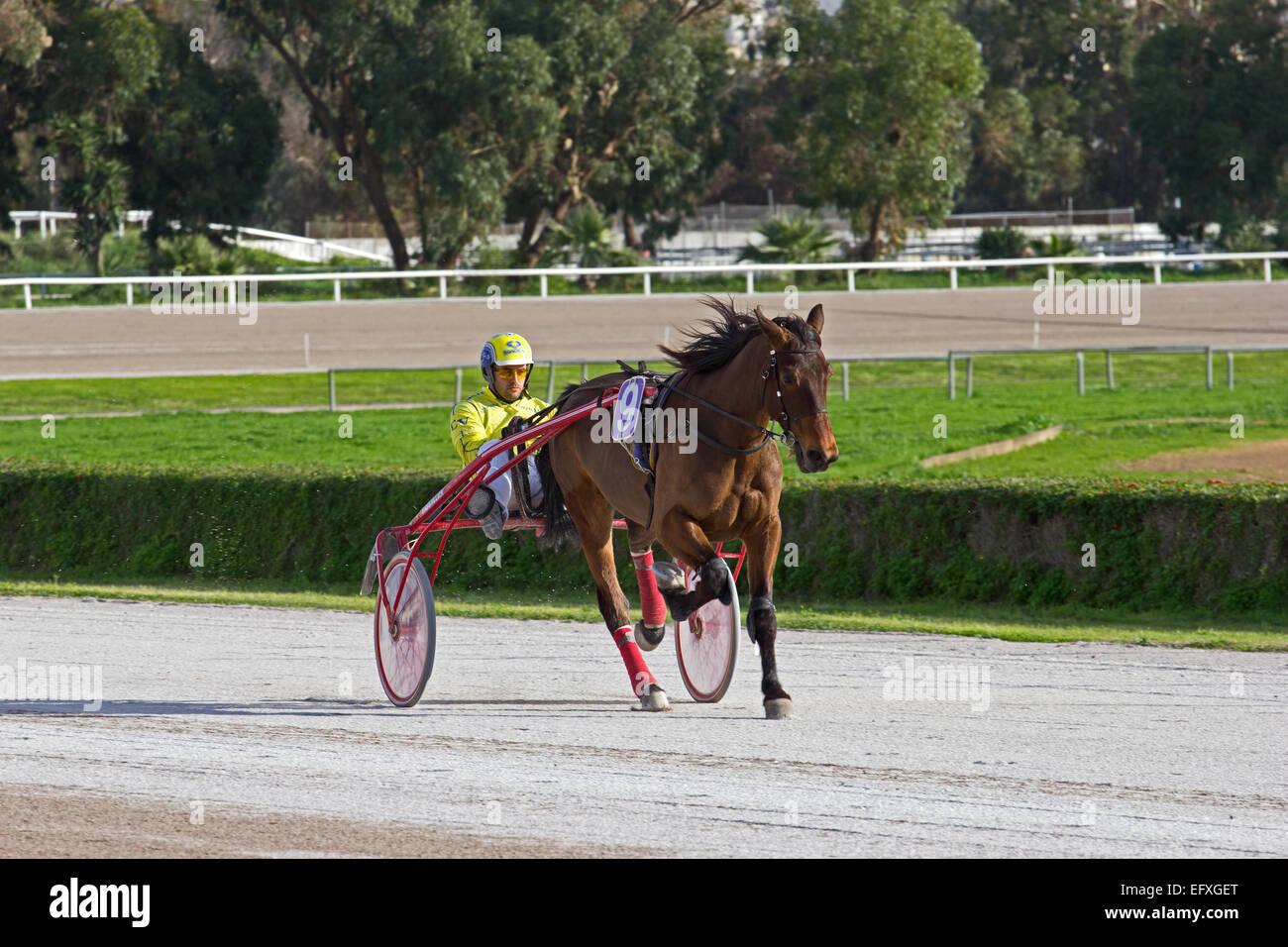 Harness racing at Malta Racing Club, Marsa, Malta Stock Photo - Alamy