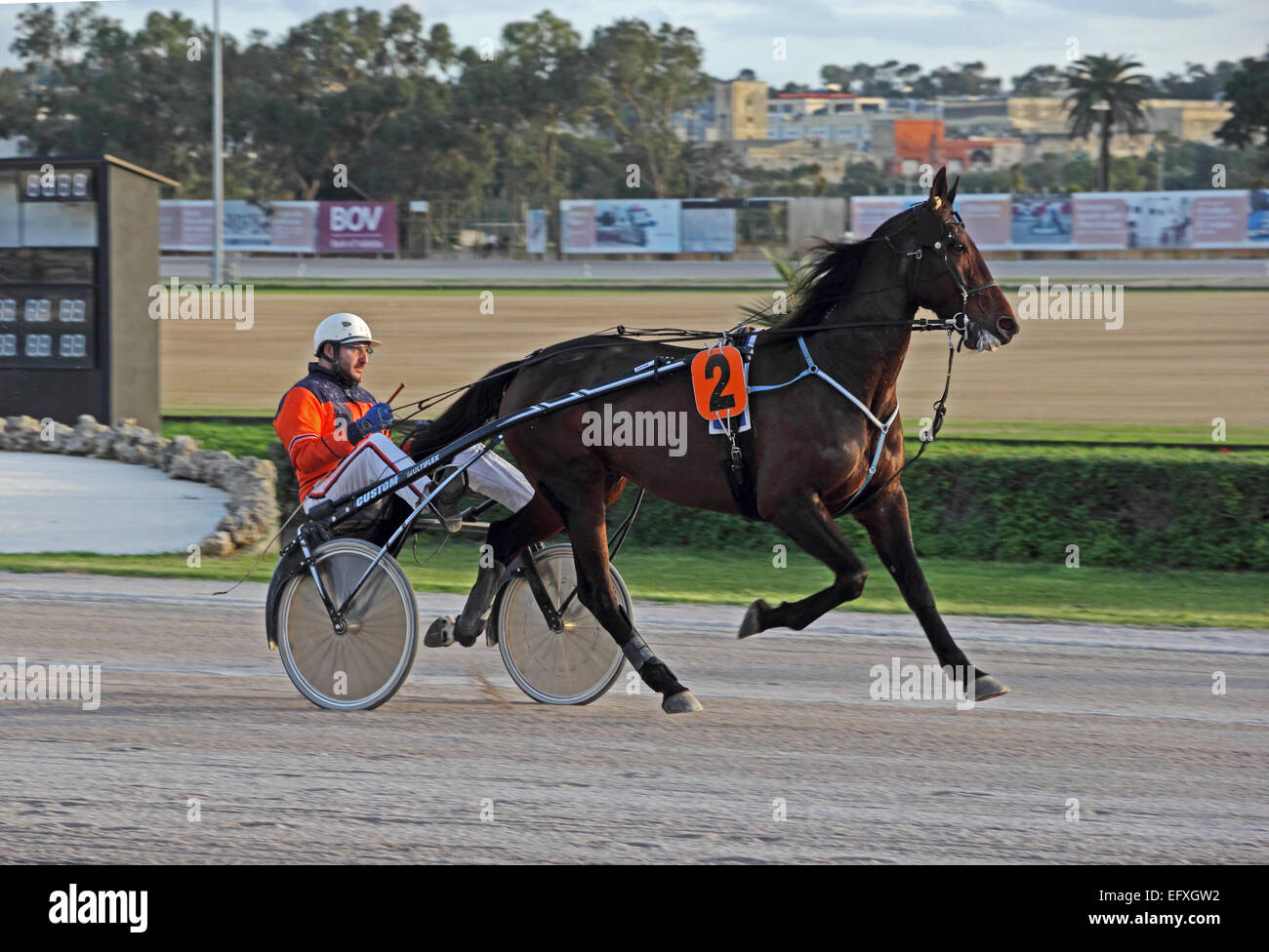Harness racing at Malta Racing Club, Marsa, Malta Stock Photo - Alamy