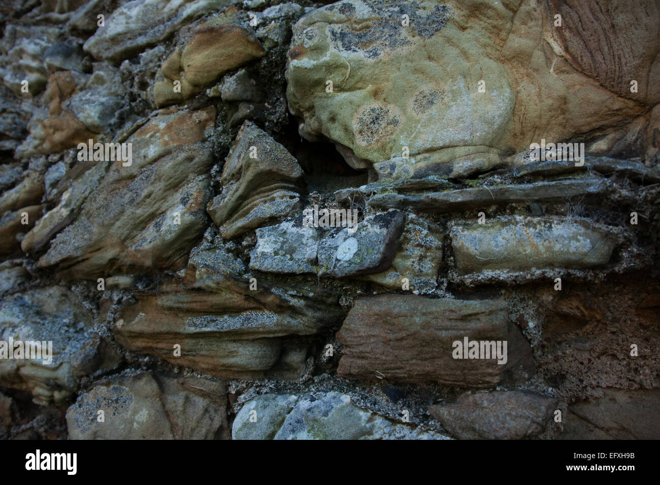 Stone detail up close Stock Photo - Alamy