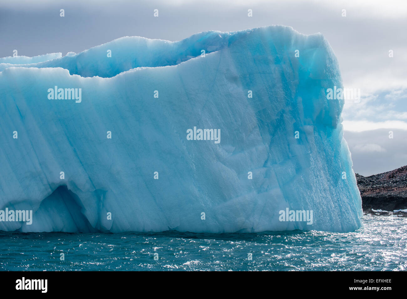 Iceberg at Hope Bay, Trinity Peninsula, Antarctic Peninsula Stock Photo ...