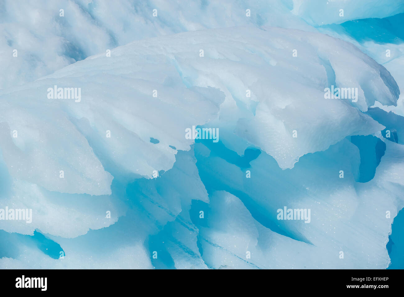 Iceberg detail at Hope Bay, Trinity Peninsula, Antarctic Peninsula ...