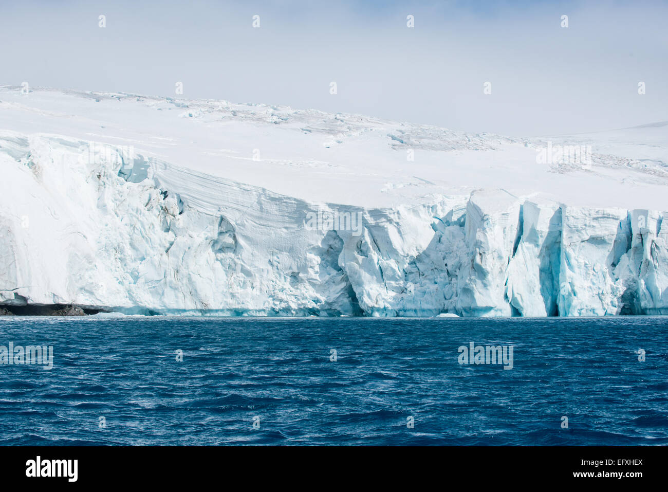 Glacier at Hope Bay, Trinity Peninsula, Antarctic Peninsula Stock Photo ...