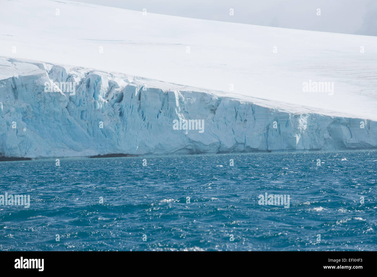 Glacier at Hope Bay, Trinity Peninsula, Antarctic Peninsula Stock Photo ...