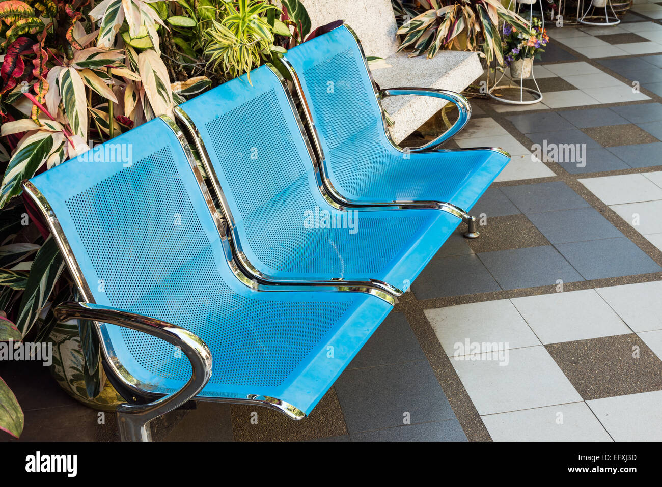Modern blue bench in the indoor garden of temple Stock Photo - Alamy