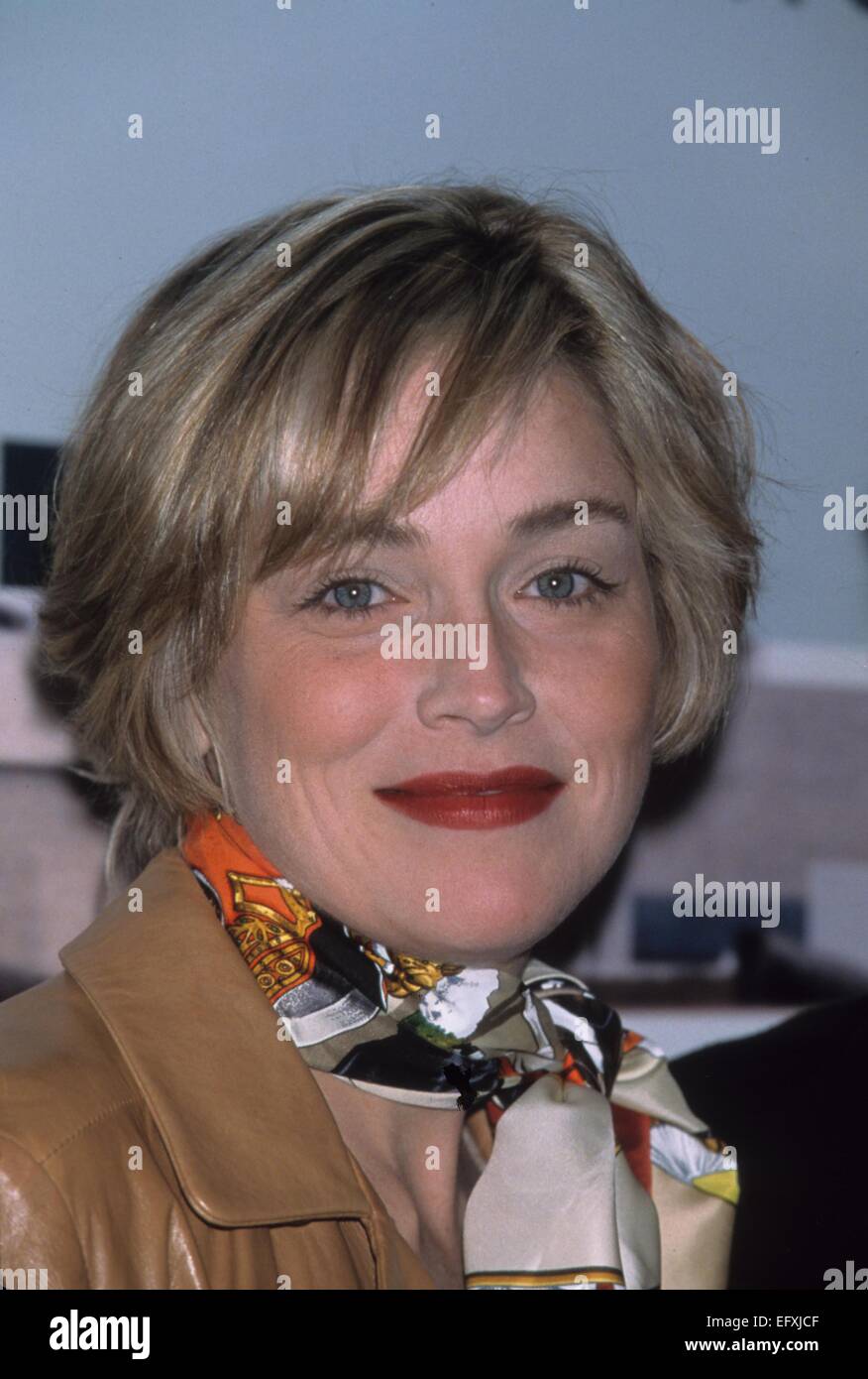SHARON STONE at Amfar's world AIDS day press conference at the United ...