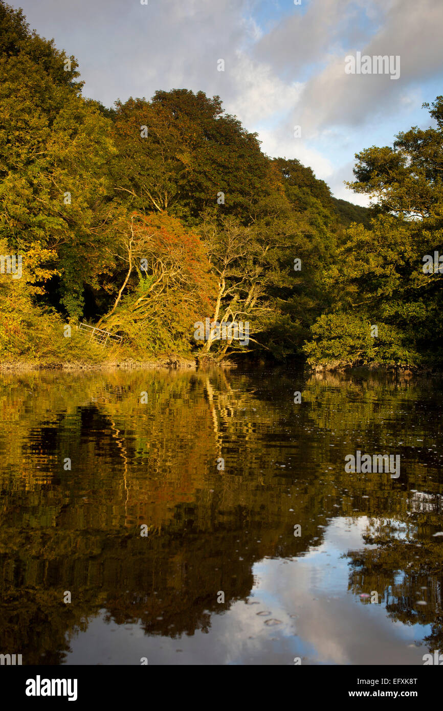River Camel Wadebridge Cornwall; UK Stock Photo - Alamy