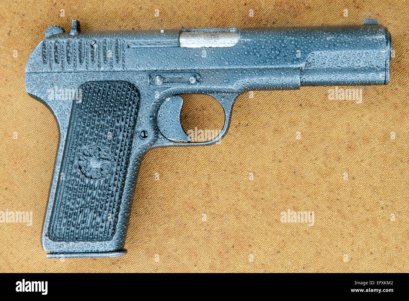 30 Bore Pistol Russian