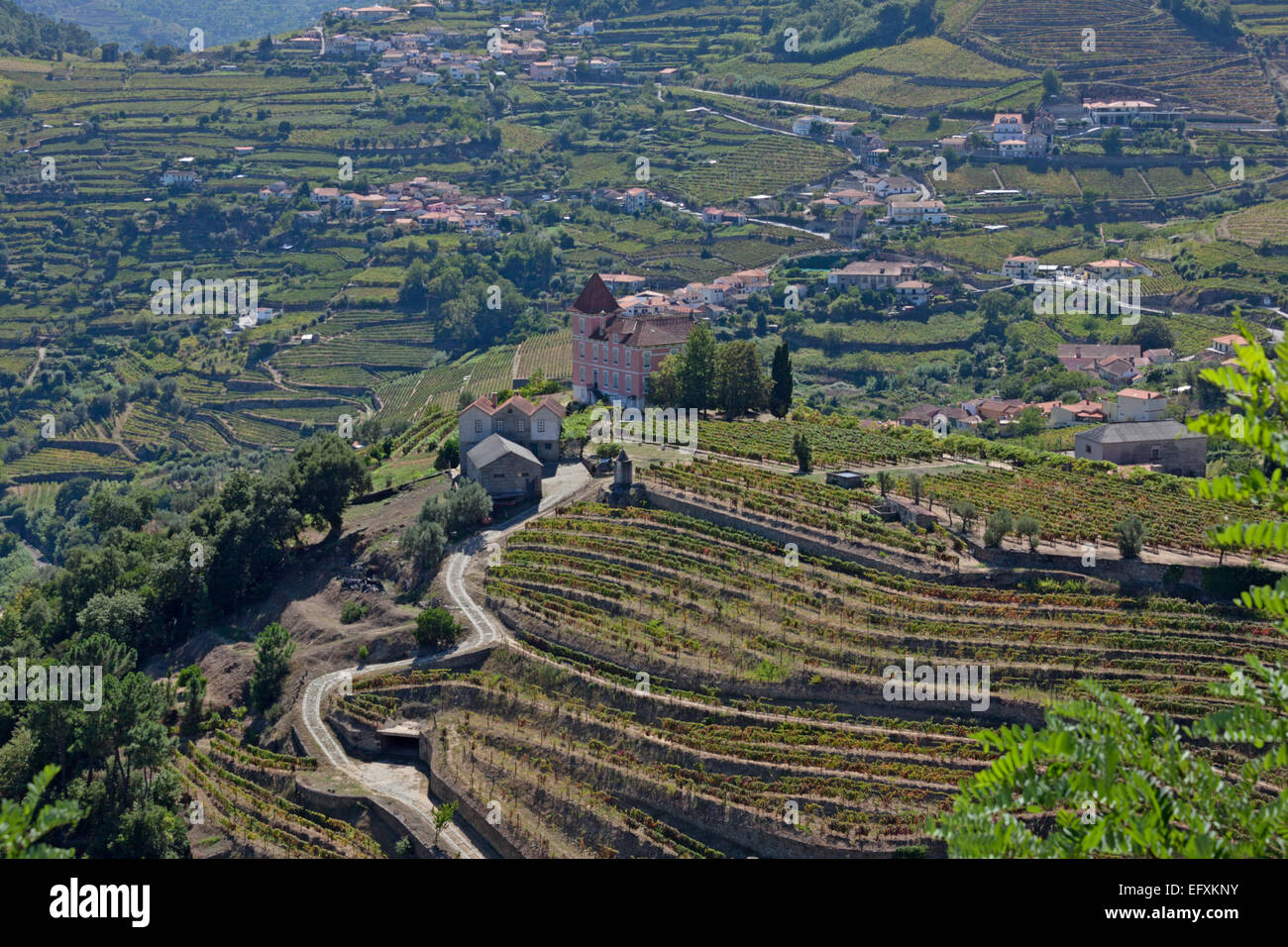 Castle on top of hill overlooking terraces. Village in the background ...