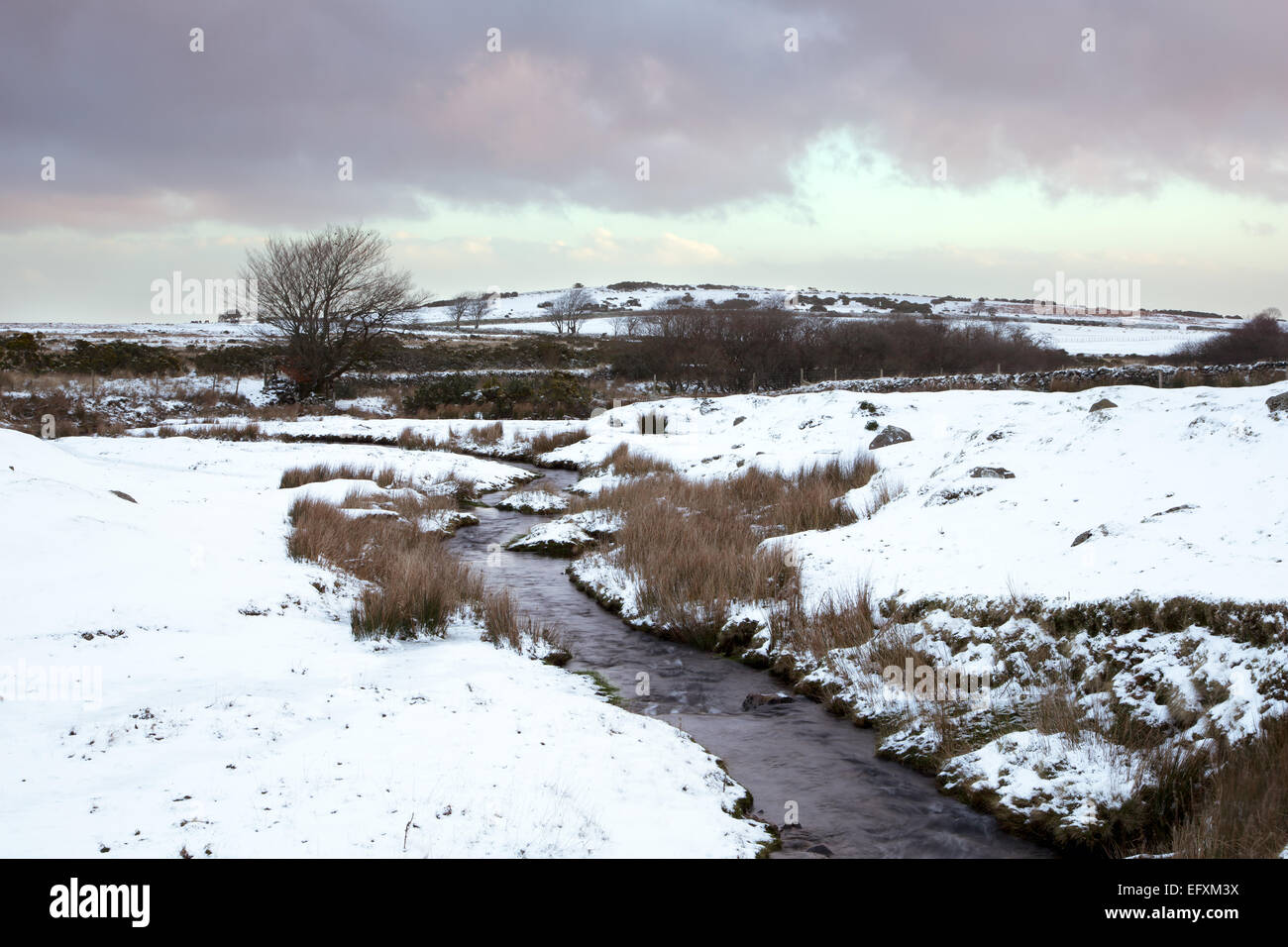 Dartmoor brook hi-res stock photography and images - Alamy