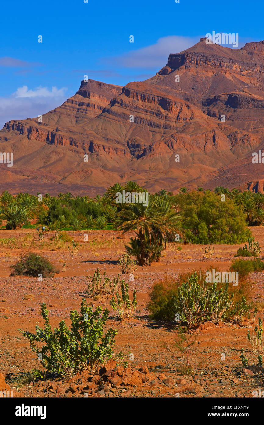 Draa river mountain range djebel hi-res stock photography and images ...
