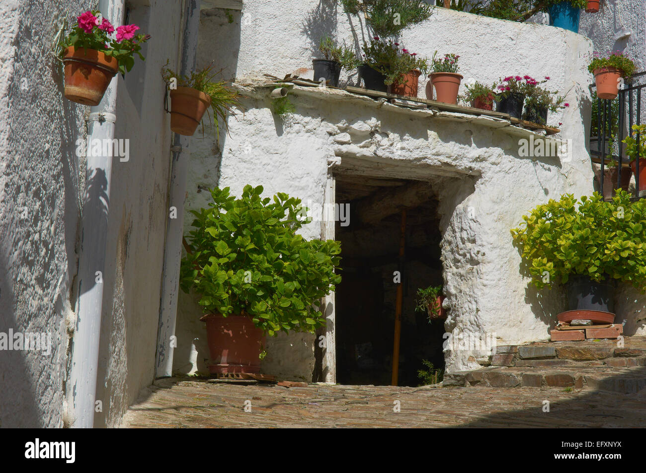 Pitres, Alpujarras Mountains area, Granada province, Andalusia, Spain ...