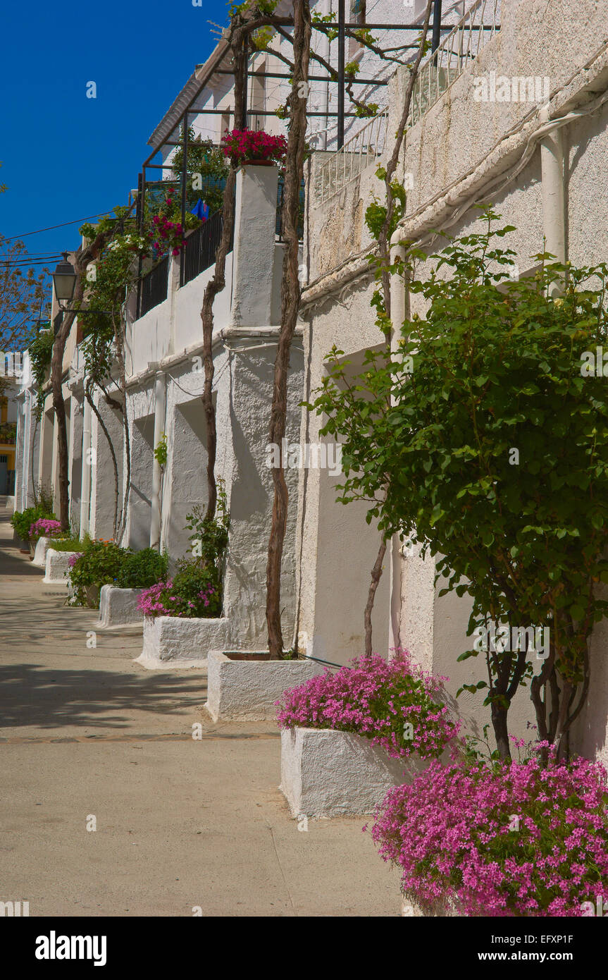 Pitres, Alpujarras Mountains area, Granada province, Andalusia, Spain ...